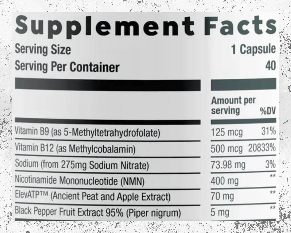 Greg Doucette's HTLT GO2 Max Review [Performance Upgrade]